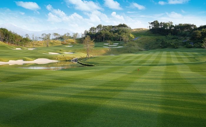 How to Make Your Golf Course More Sustainable